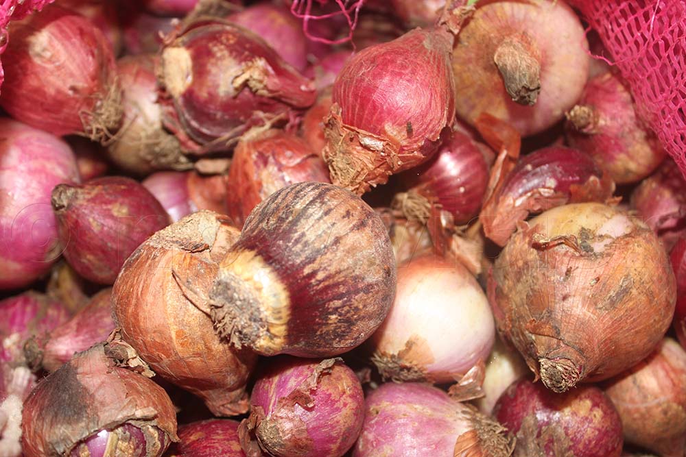 Mbale hit by onion shortage, causing spike in prices - New Vision Official