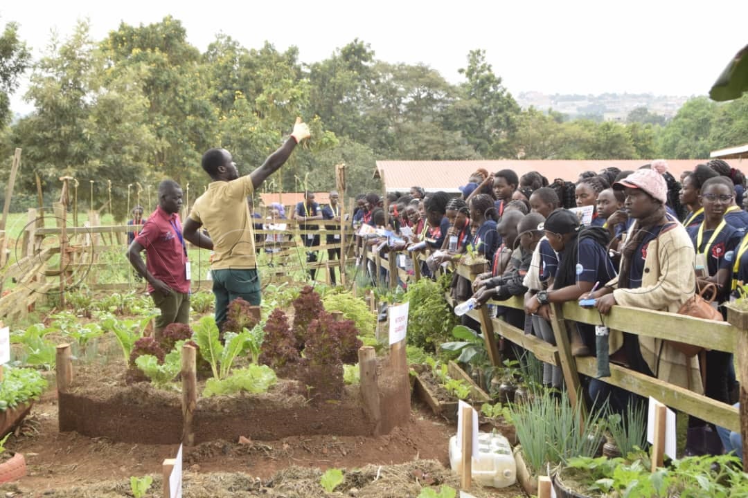 Students get tips on urban farming at the schools’ farm camp - New ...