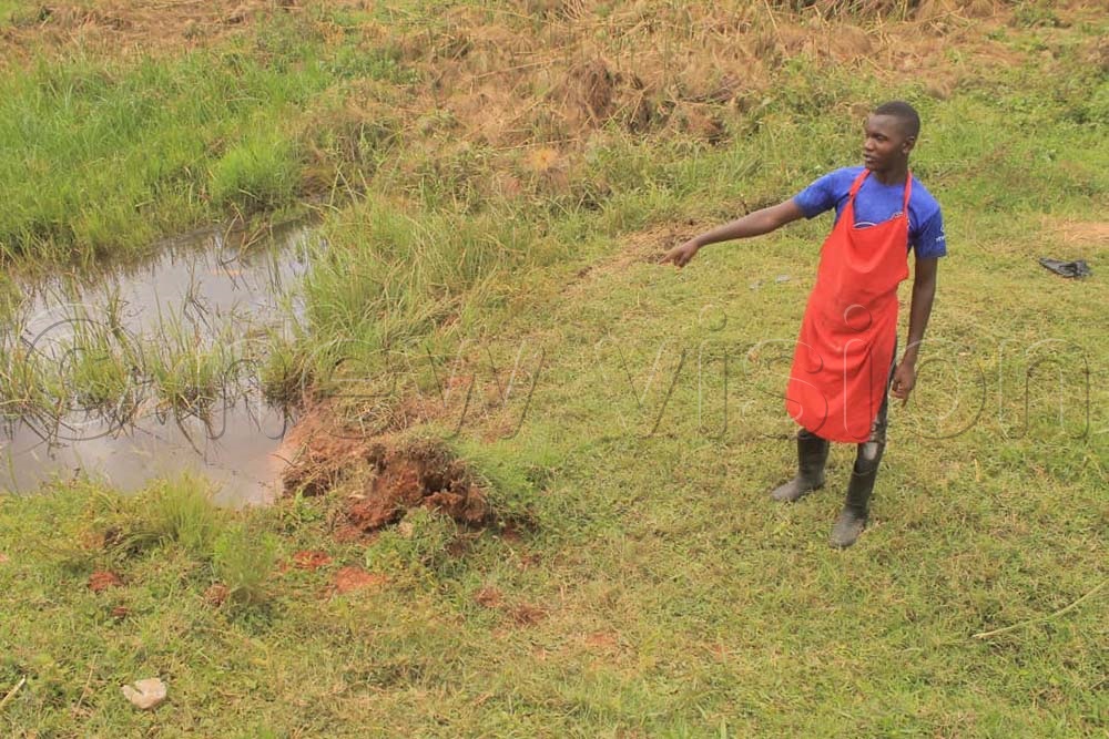 Musician Lady Grace dies in accident, others in critical condition ...