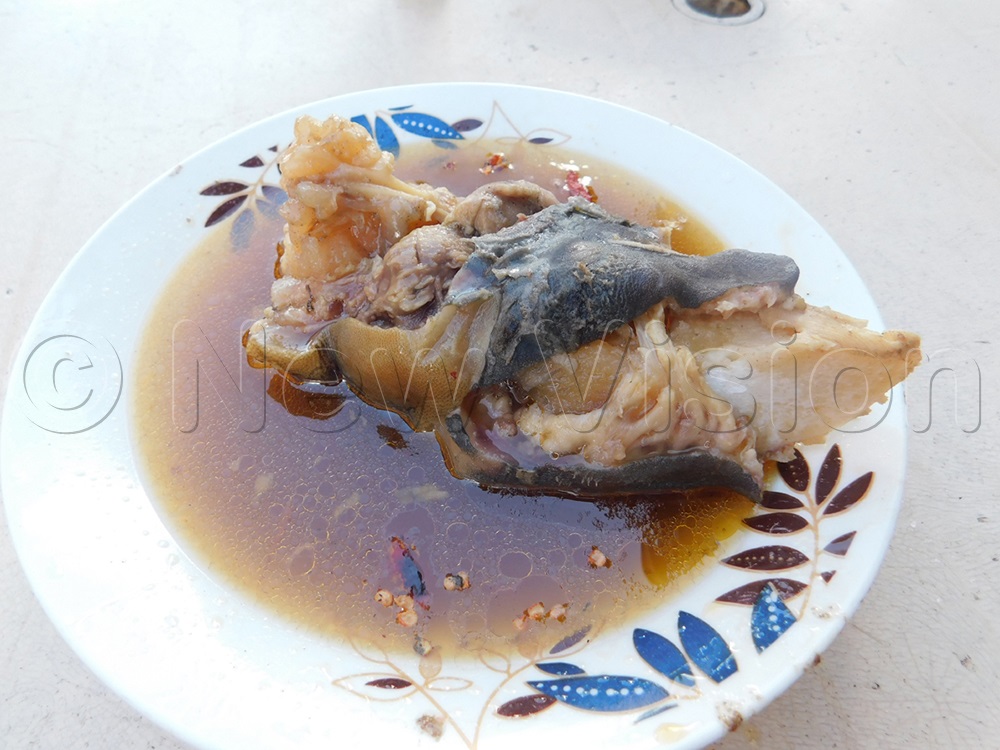 Showcasing the best of Acholi - New Vision Official