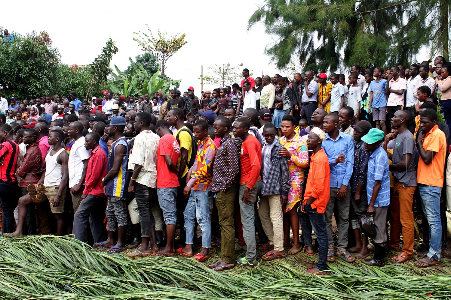 Mbale Floods More Missing As Search Rescue Enter Day Three Bukedde Online Amawulire