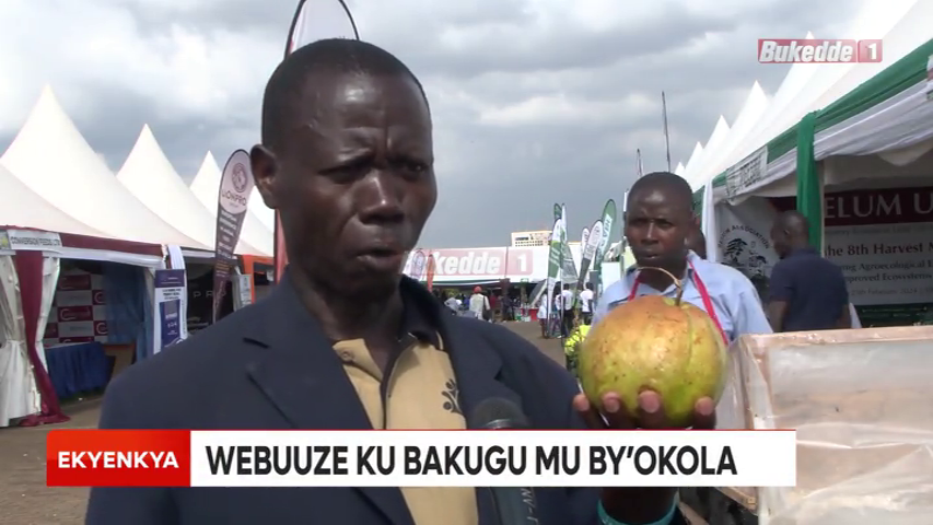 Enkumbi Terimba ; Omulimi wa Mapeera agakulira mu myaka 2 teyejjusa ...