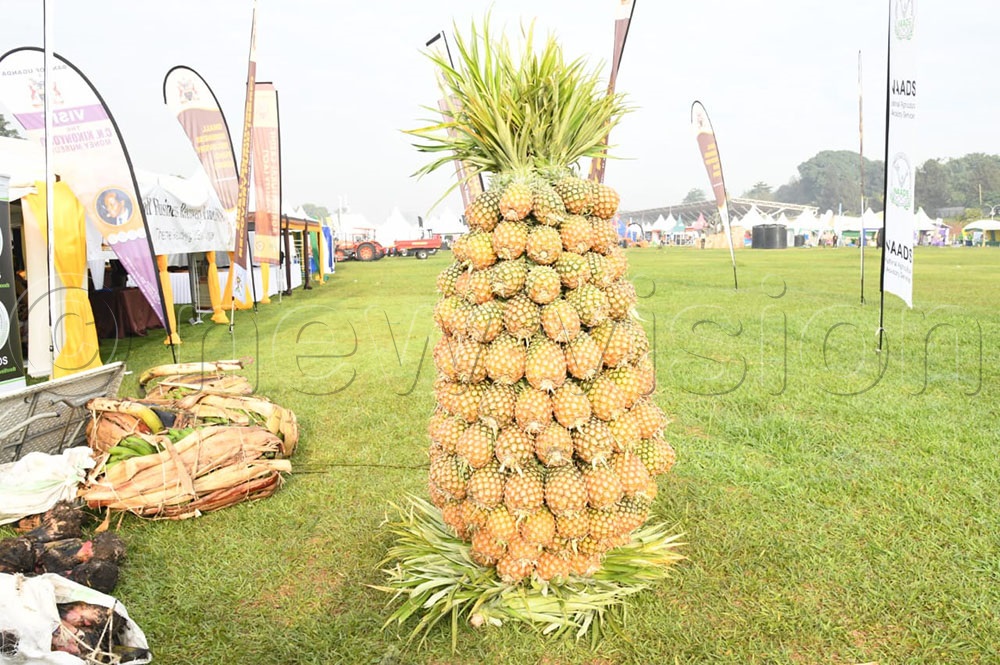 Vision Group Harvest Money Expo 2023 Kicks Off Vision Group Harvest Money Expo 2023 Kicks Off