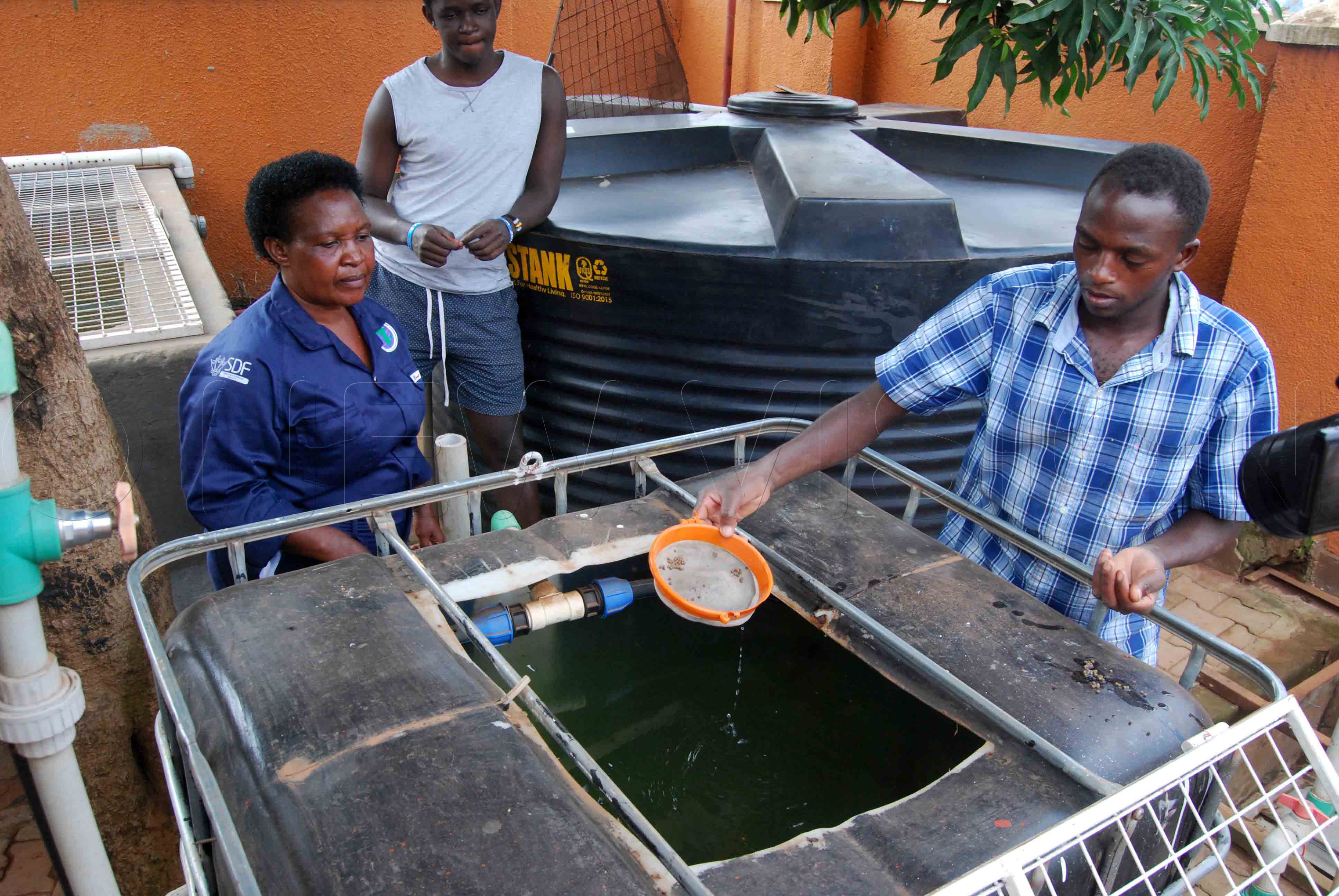 How Kempango turned her backyard into a fish farm - Bukedde Online ...