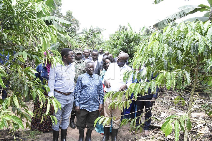 Omuwendo gw'emmwanyi Uganda gw'etunda ku katale k'ensi yonna ...