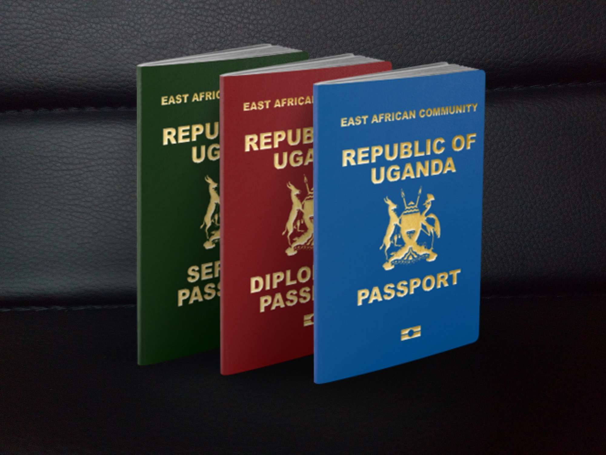 Remove Agents From Passport Office Internal Affairs Official Remove Agents From Passport Office Internal Affairs Official