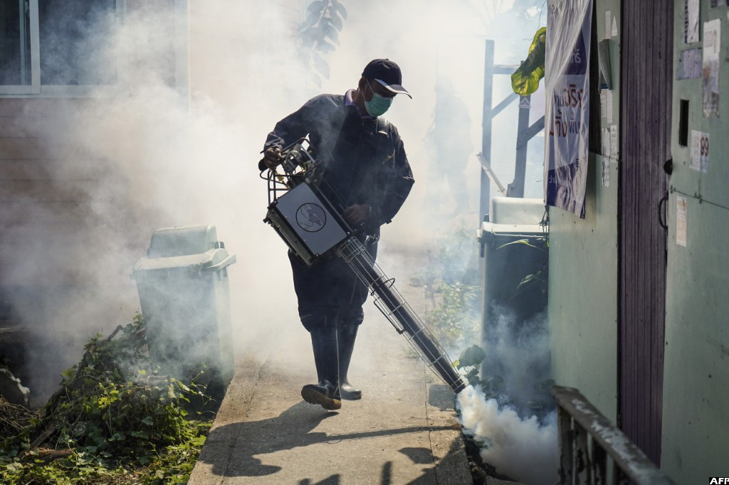 Climate change spurring surge in dengue, chikungunya — WHO
