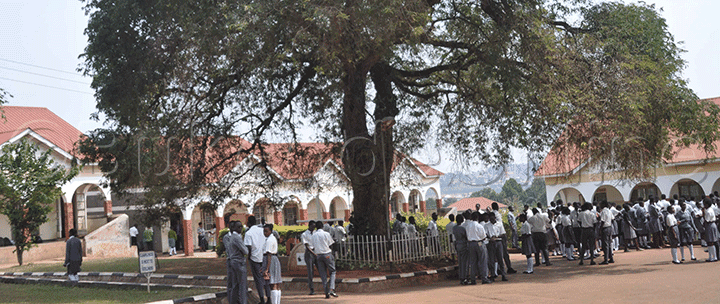 ‘Ekigo kya Our Lady of Virgins Kisubi kirina akakwate ku Baminsani ...