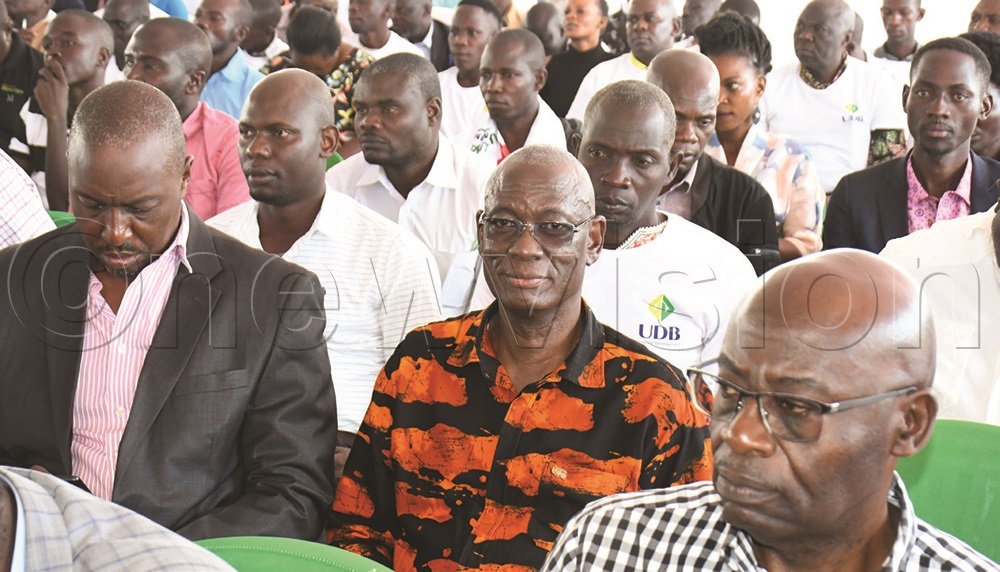 Kadaga calls for value addition in fruits in Busoga - New Vision Official