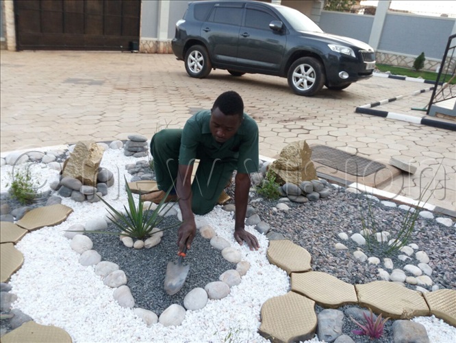 Consider a foot massage garden to boost your health - New Vision Official