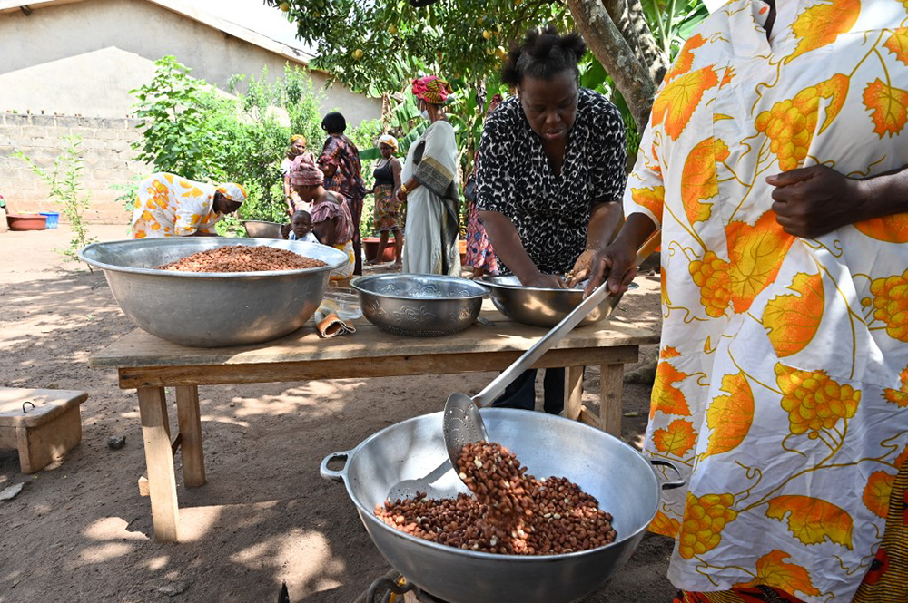 Organic crops join push to ease rural poverty in Ivory Coast
