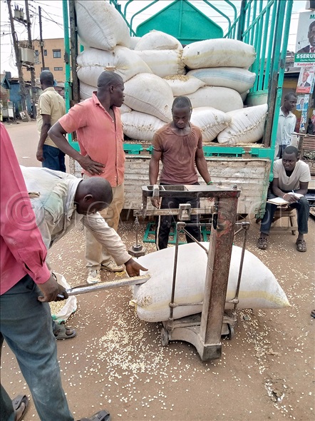 Maize millers given up to June to get standard certification