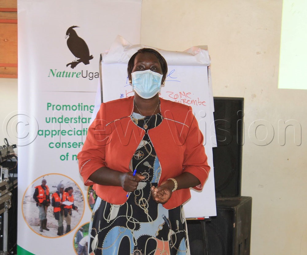 Agric. & Environment: GOVT, NGOs team up to save Mpigi wetla