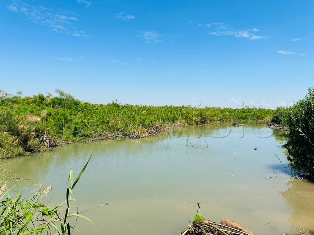 Floating island disrupts Busia water project
