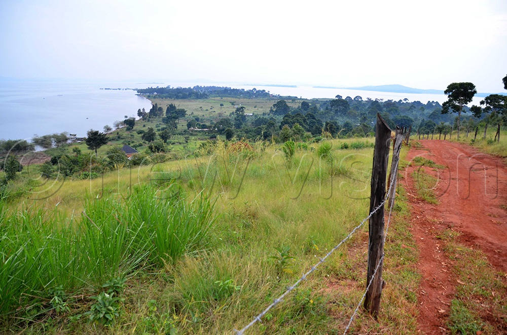 Akon city project: Mukono residents drive away surveyors - New Vision ...