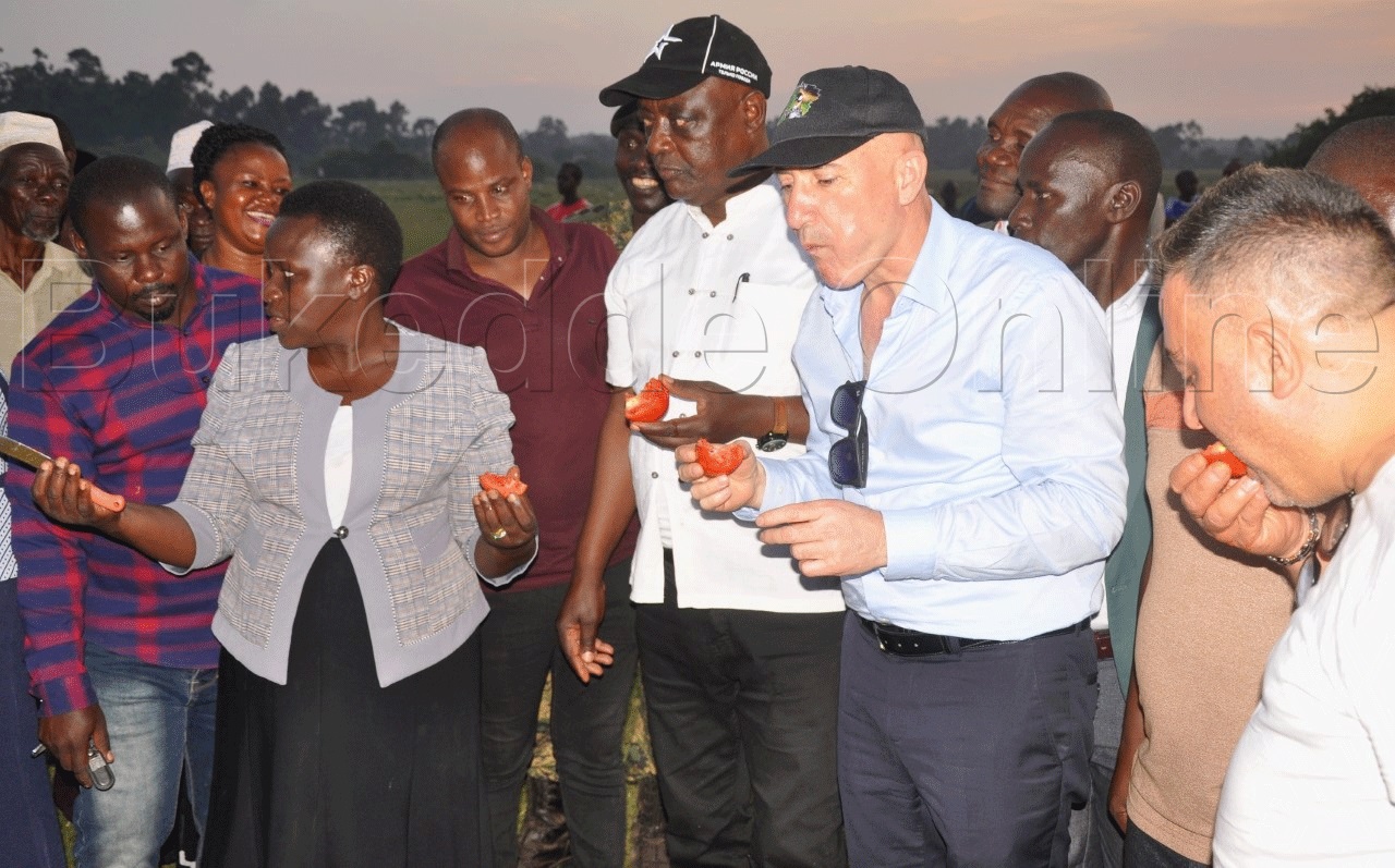 Bamusigansimbi okuva e Turkey basuubizza okuyamba ku balimi