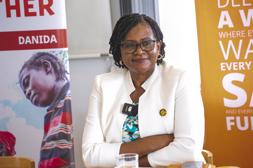 Youth in five districts to benefit from sh55b Danish embassy program ...