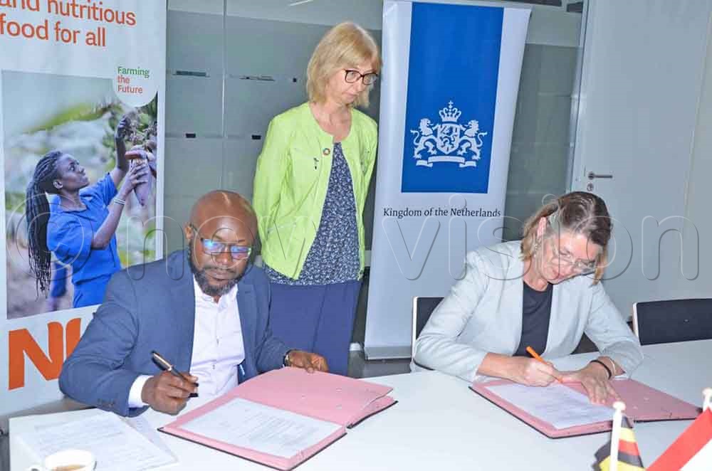 News: Netherlands Embassy renews sponsorship for best farmer