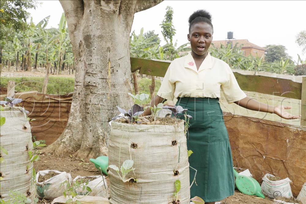 PICTORIAL: Gayaza High School farm camp to attract about 1,000 students ...