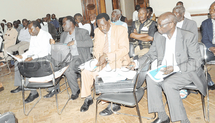 Ab’ekika ky’Engabi bakyawerennemba ku by’eyasumika omutaka Nsamba - New ...