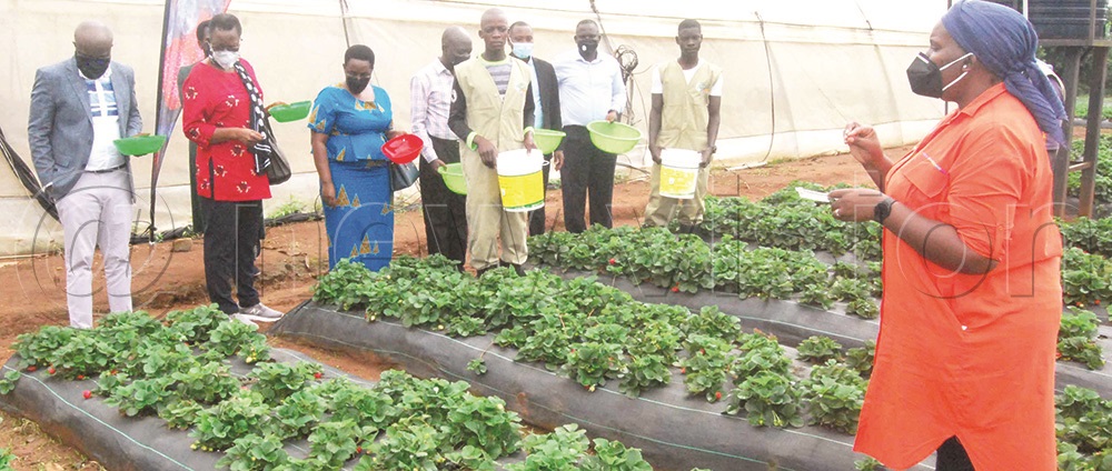 2022 Best farmers competition launched