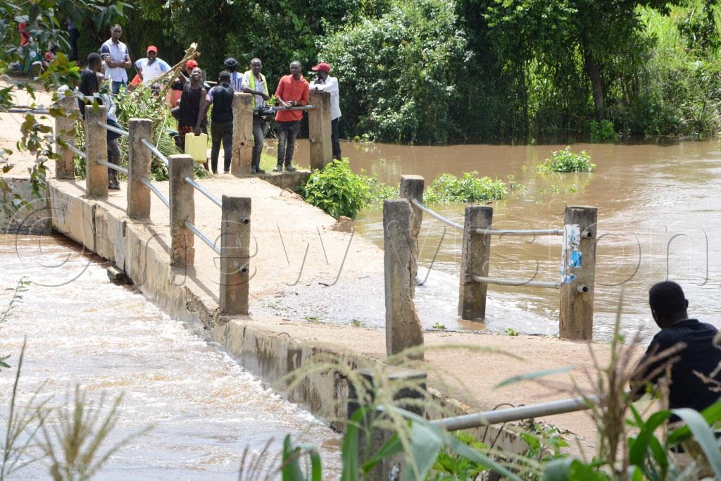 Residents on edge as River Rwizi swells