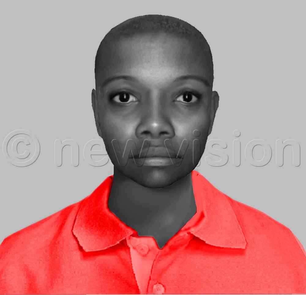 'LDUs to be deployed against ADF in DR Congo' - New Vision Official