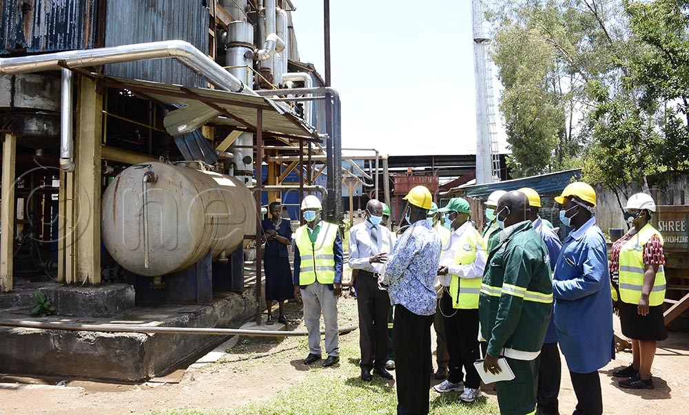 Agric. & Environment: NEMA suspends Busia Sugar factory over