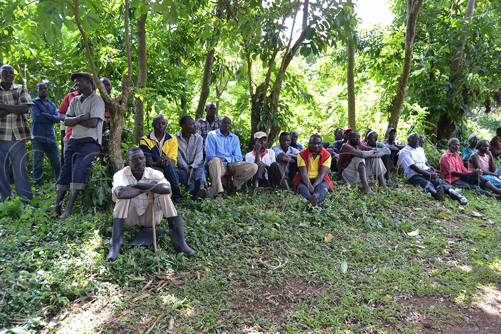 News: Kandanda Ngobye Forest boundary opening finally kicks