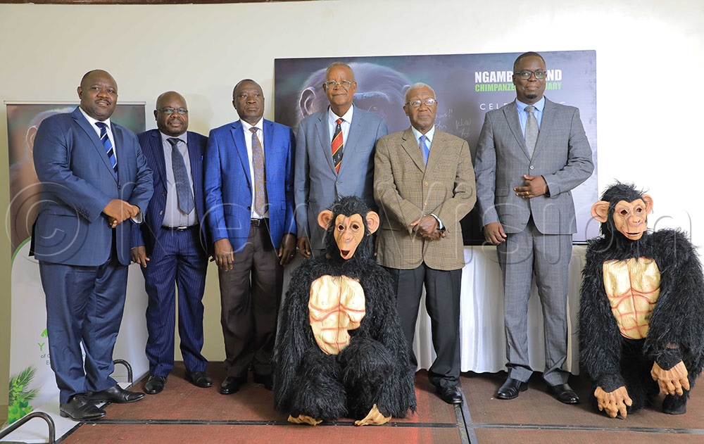 Tourism stakeholders want ferry that plies Koome islands - New Vision ...