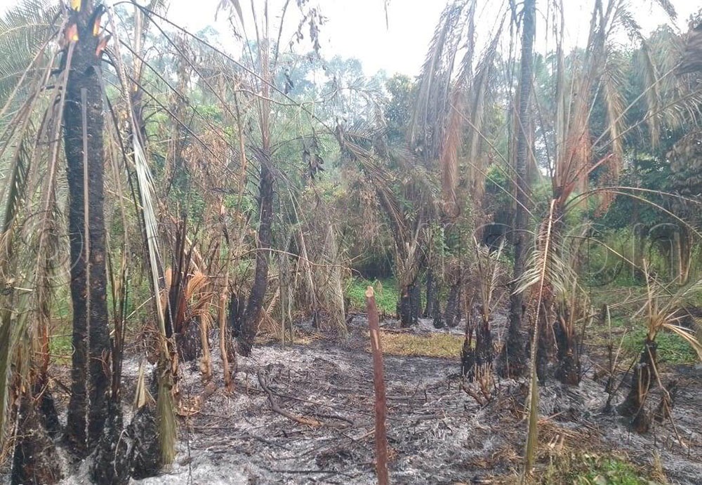Kitagwenda Wetland encroachers thrown out to protect Nyakabale - New ...