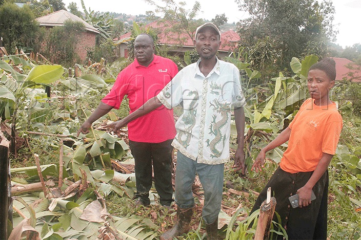 Ffamire eri mu maziga oluvannyuma lw'abantu ab'ettima okubasaayira ...