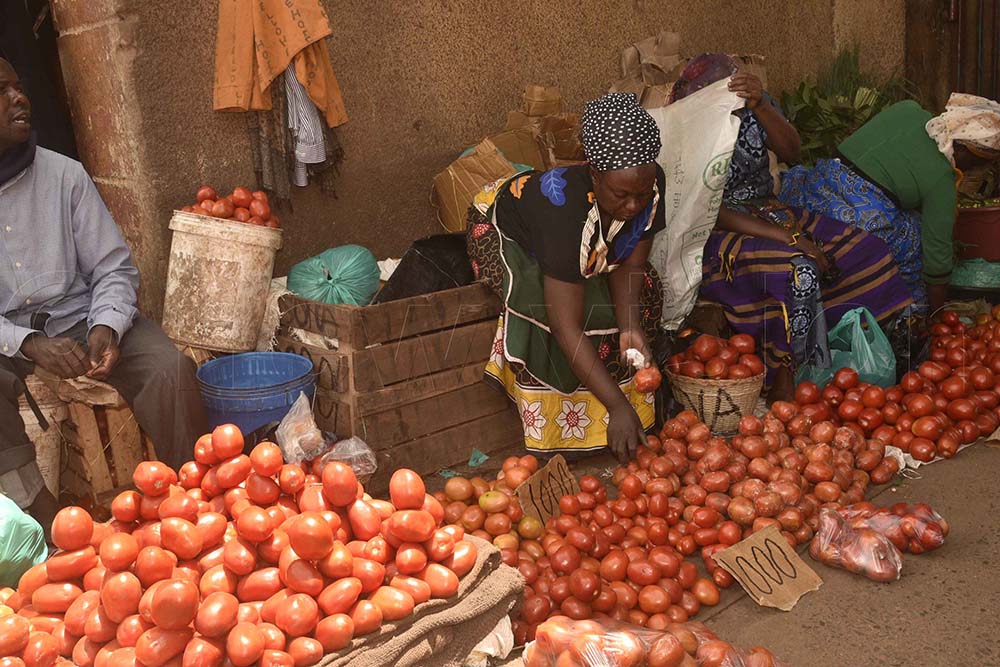 Cheaper Kenyan tomatoes cause prices of Uganda tomatoes to fall - New ...