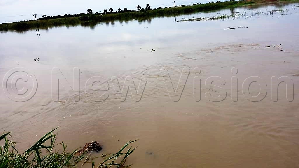 Tangi bursts its banks again, stranding travellers - New Vision Official