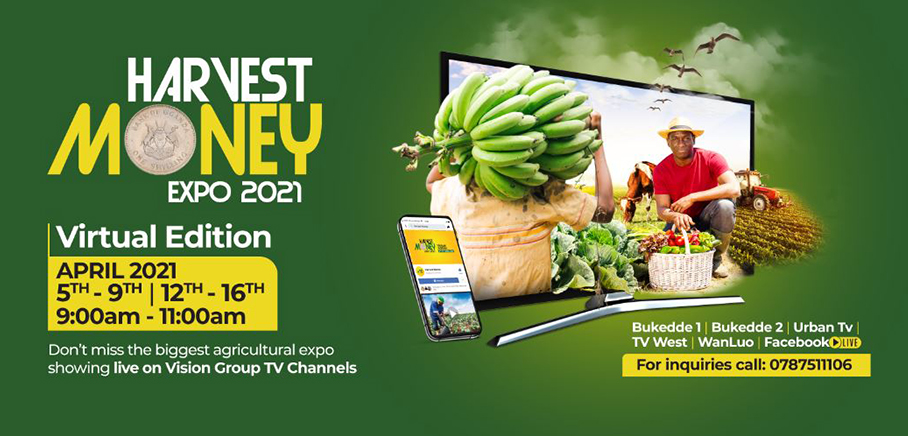 2021 Harvest Money Expo to be held virtually