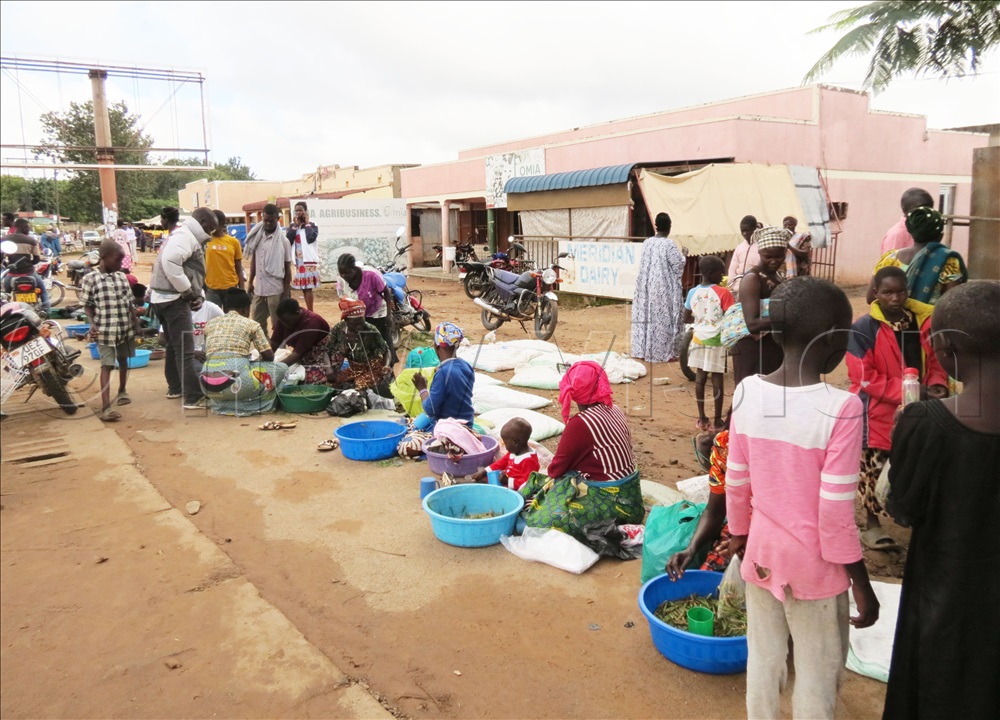 Nsenene back in Arua City, prices tumble - New Vision Official