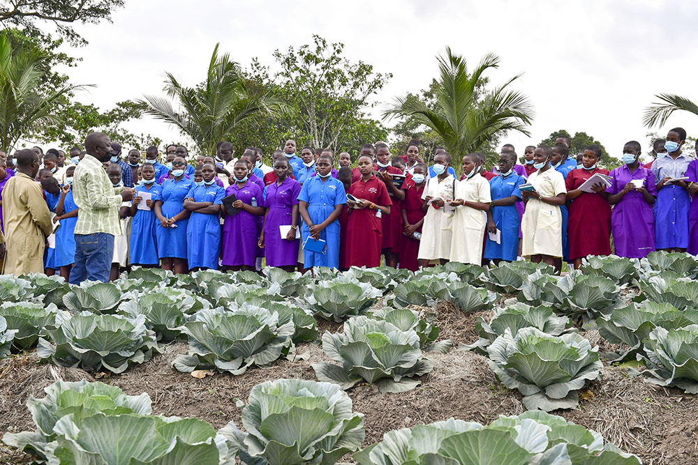 Tororo Girls School tours Kawumu Presidential Farm - New Vision Official