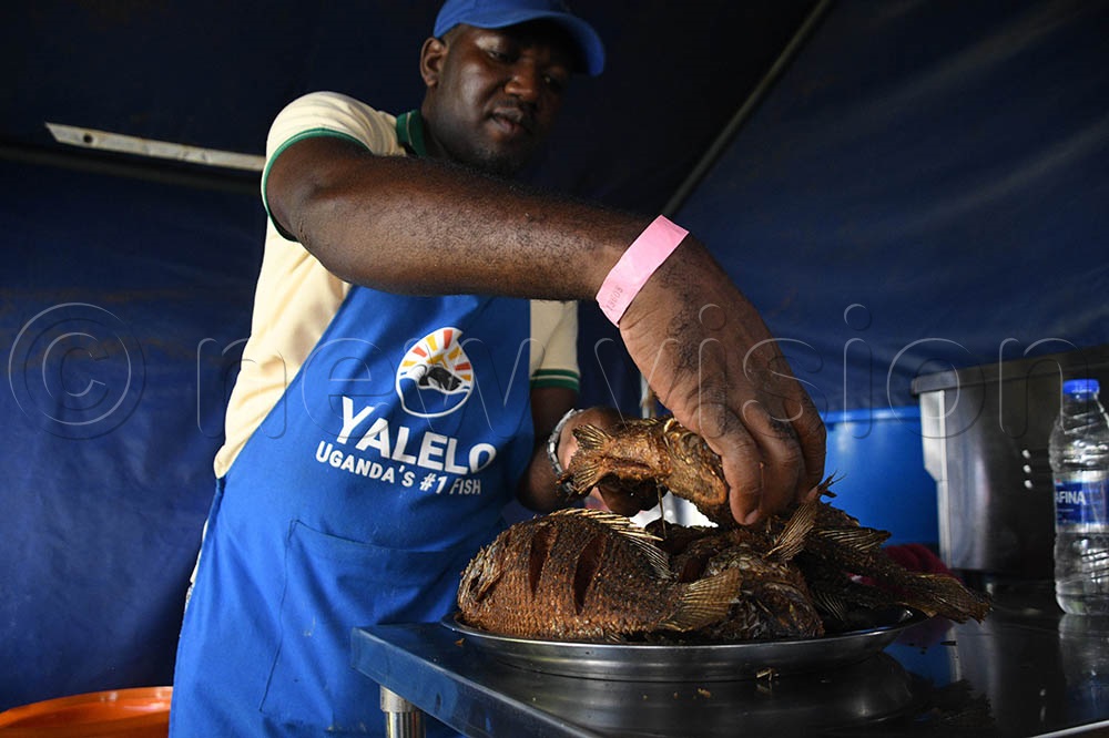 YALELO Fish to boost over 7000 youth with employment opportunities ...