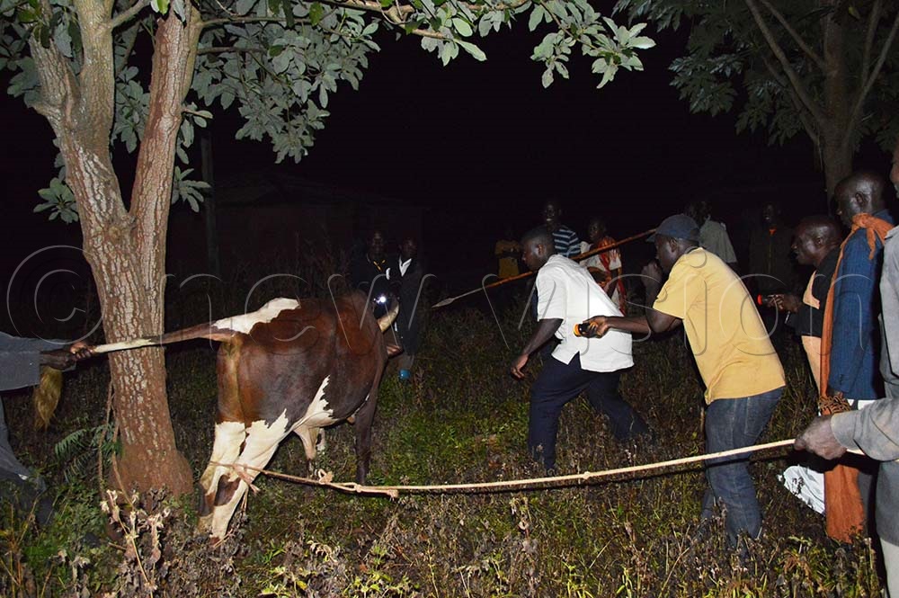 Kyabazinga's ceremonial wife to hand over power to Inhebantu - New ...