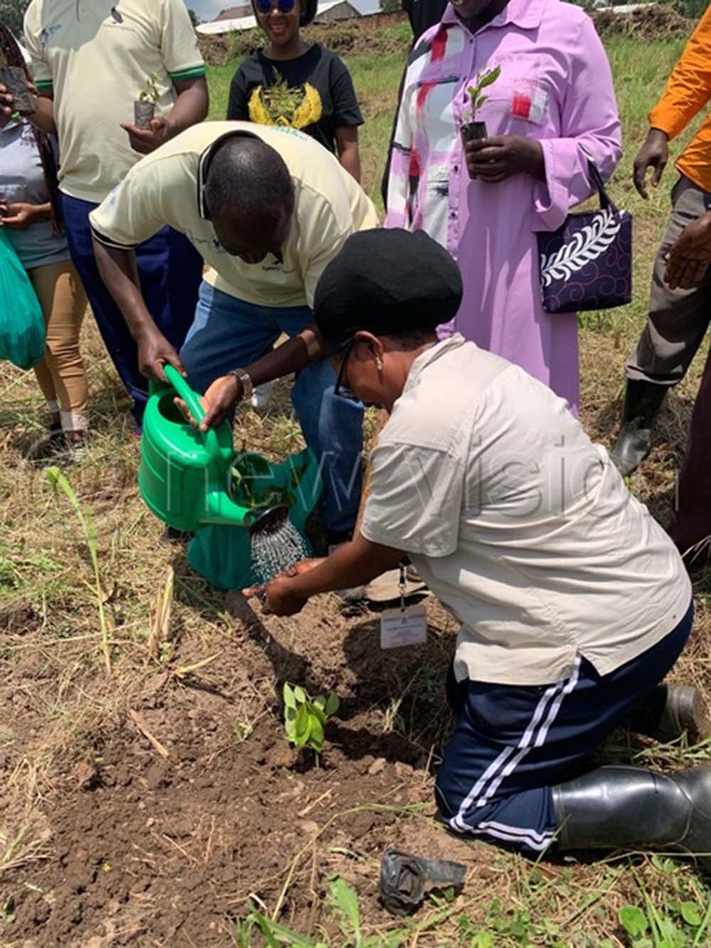 Residents plant 20 hectares of Nankidiba Forest Reserve - Bukedde ...