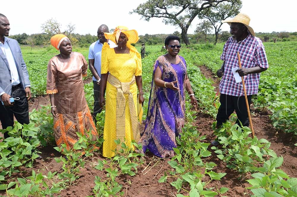Agric. & Environment: Yumbe residents urged to embrace large