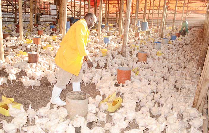 Emboozi: Ebikula amangu by’onoofunamu ssente za Ssekukkulu n