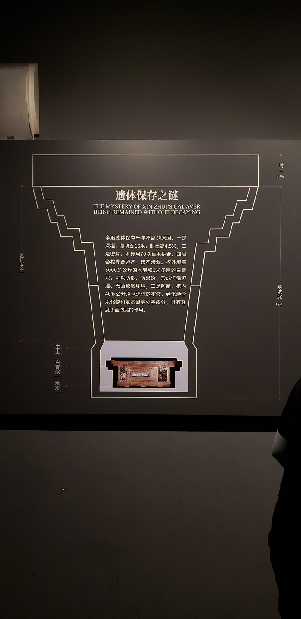 Xin Zhui's tomb that preserved her body for more than 2,000 years - New ...