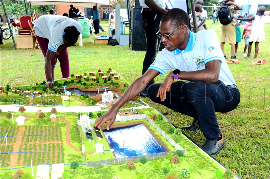 📷 Public urged to desist from planting eucalyptus - New Vision Official