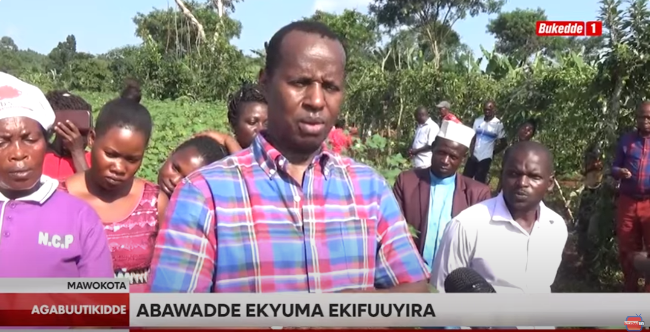 Agabuutikidde: KABAKA ADDUUKIRIDDE ABALIMI BA PPAMBA ABAWADDE EKYUUMA ...