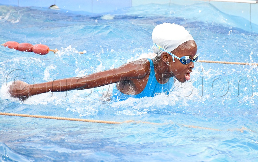 Colts win the Pursuit Swim League at the British School Pool - Bukedde ...