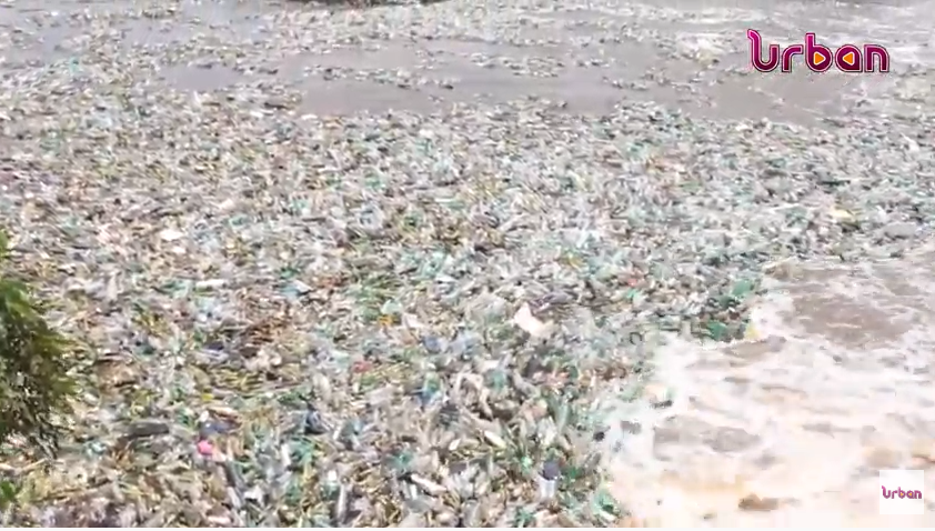 Save river Rwizi campaign kicks off - New Vision Official