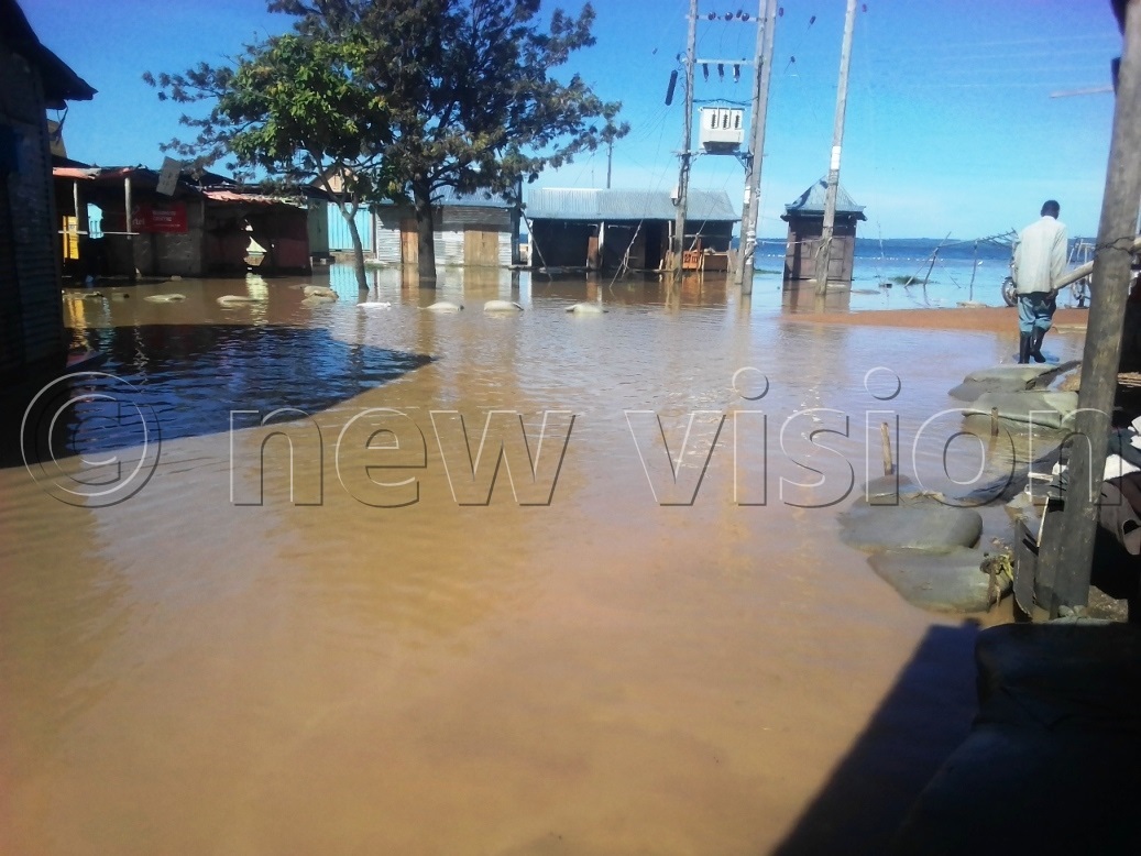 'Sleepless nights': Rising L.Victoria water levels displace thousands ...