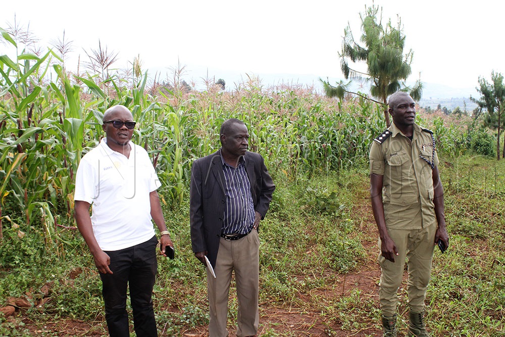 Bukwo LC5 boss sacks vice chairperson over alleged incompetence - New ...