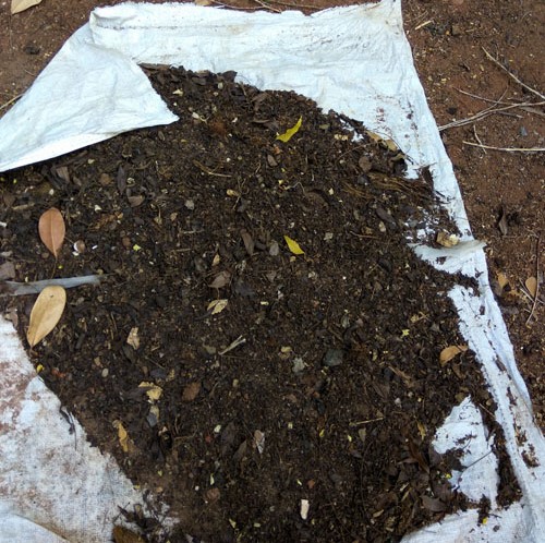 How to make compost manure from your kitchen - New Vision Official